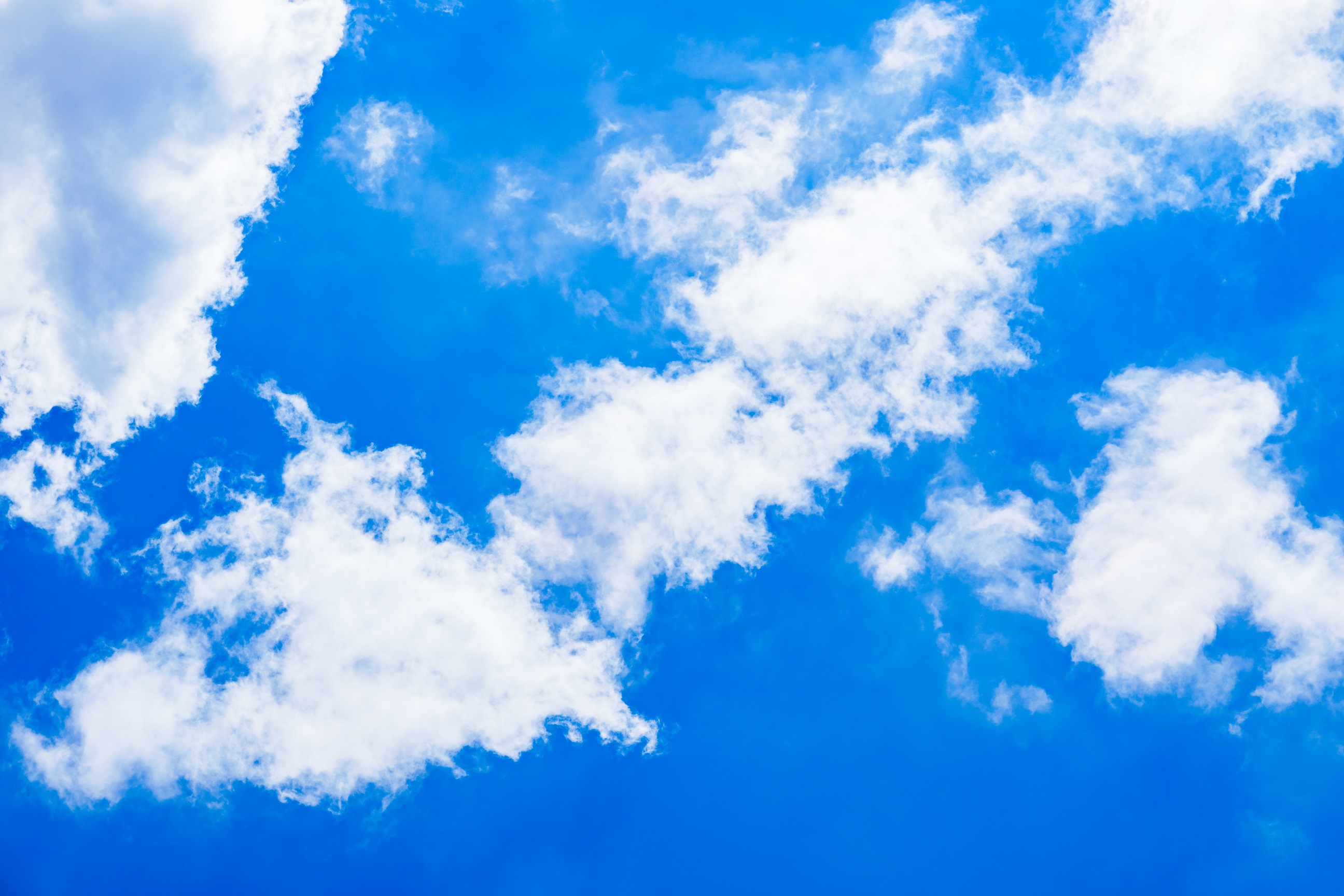 熱中症予防で最も気をつけていることは？ - みんなの意見 - Yahoo!ニュース