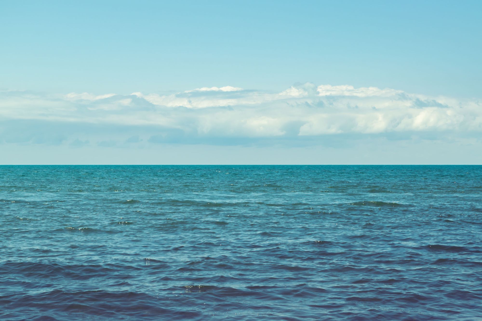 古代の航海について一番知りたいポイントは何ですか？ - みんなの意見 - Yahoo!ニュース