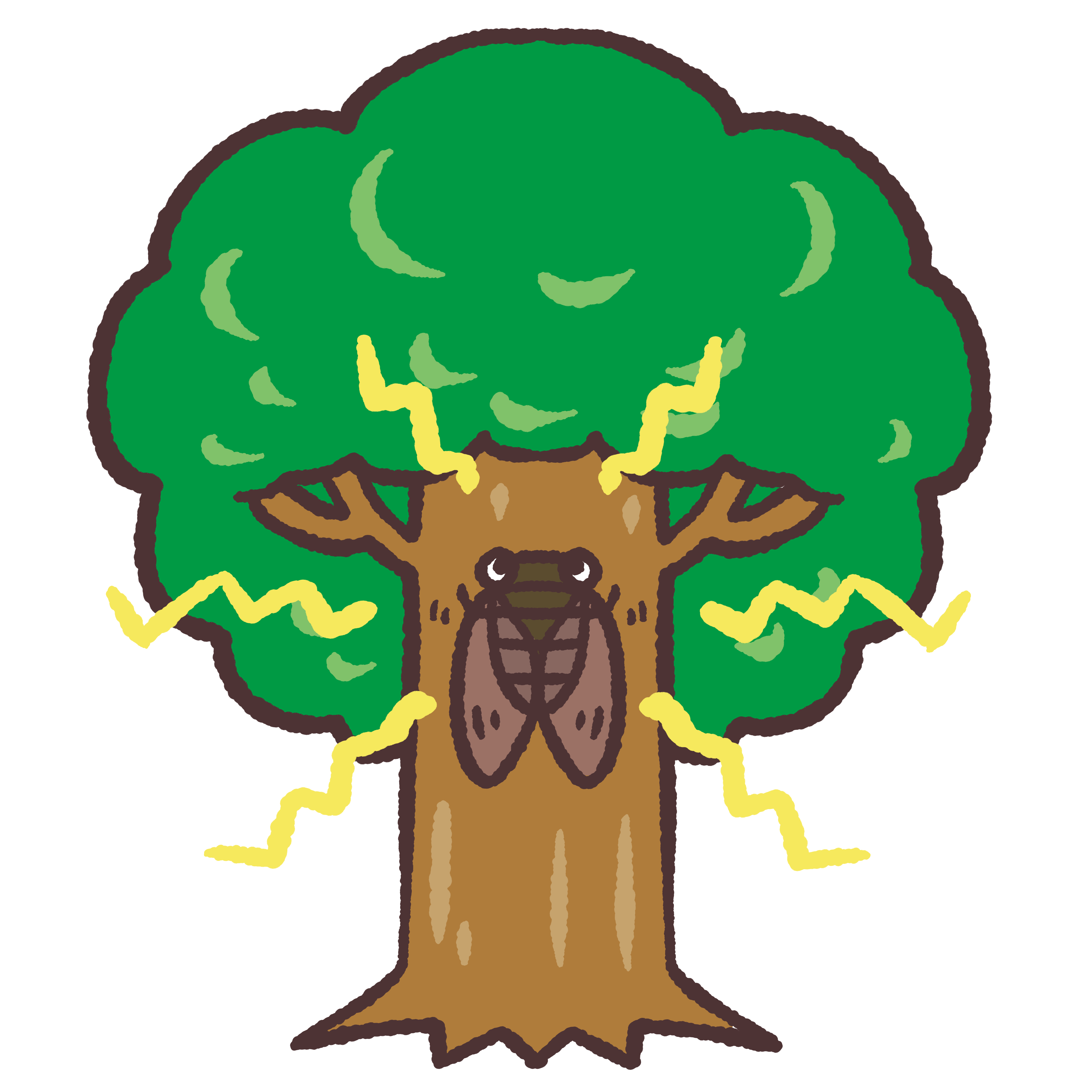 近年セミの鳴き声が減っていると感じますか？ - みんなの意見 - Yahoo!ニュース