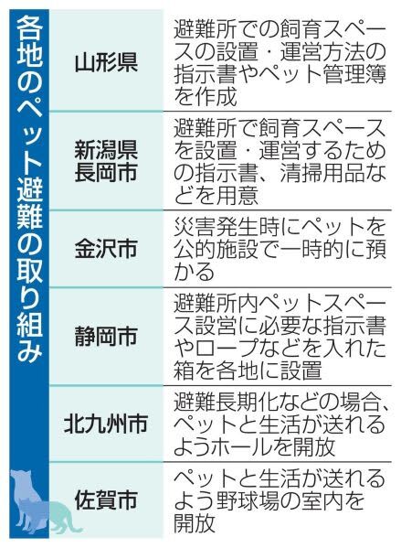 土石流で生き残った「家族の一員」、滞在先見つからず苦心 災害のたびに問題になるペット連れ避難、国の指針は「同行」原則だが… (47NEWS) - Yahoo!ニュース