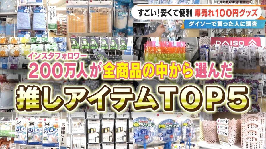 ダイソーで今売れてる便利グッズ＆話題のぬい活アイテムとは？フォロワー200万人が選んだベスト5も！ (CBCテレビ) - Yahoo!ニュース