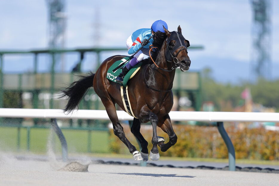 WIN5は26万円超の払戻し…東海Sは武豊ヤマニンウルスが復活 (競馬のおはなし) - Yahoo!ニュース