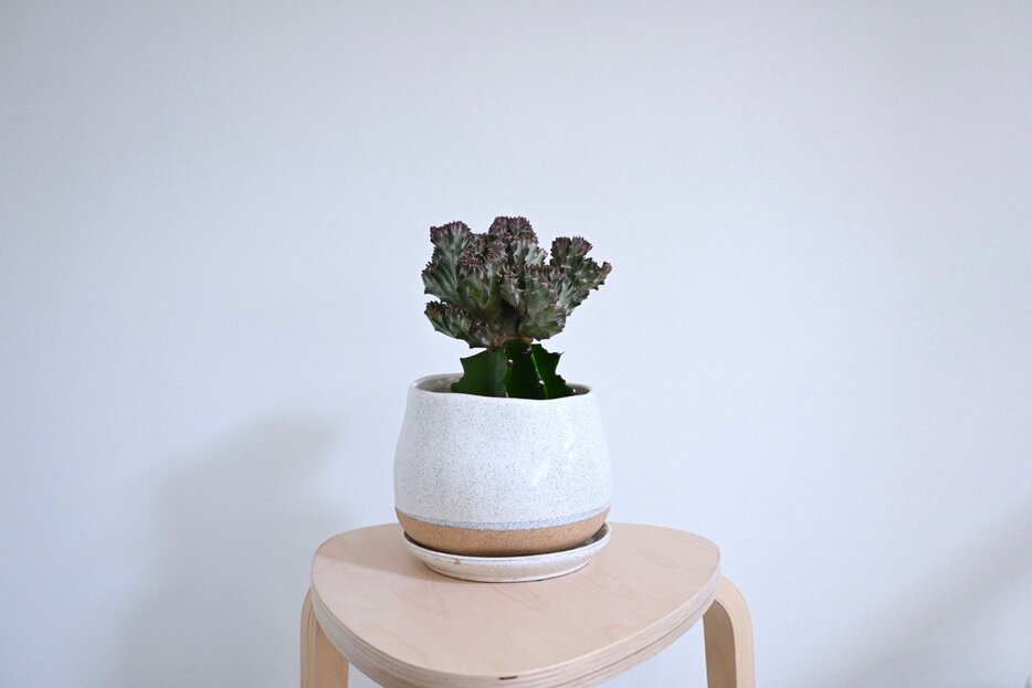 もう迷わない！忙しい人のための「ムダを省く」片づけ術。便利グッズや家電を取り入れる前にやりたいこと (ESSE-online) - Yahoo!ニュース