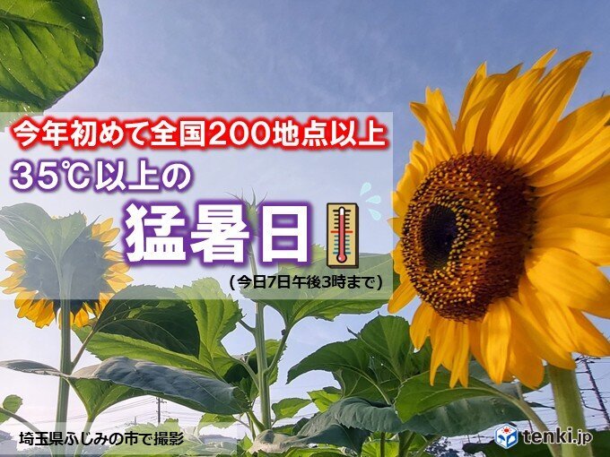 【速報】今年初 35℃以上の猛暑日が全国200地点を超える 熱中症に厳重警戒を (tenki.jp) - Yahoo!ニュース