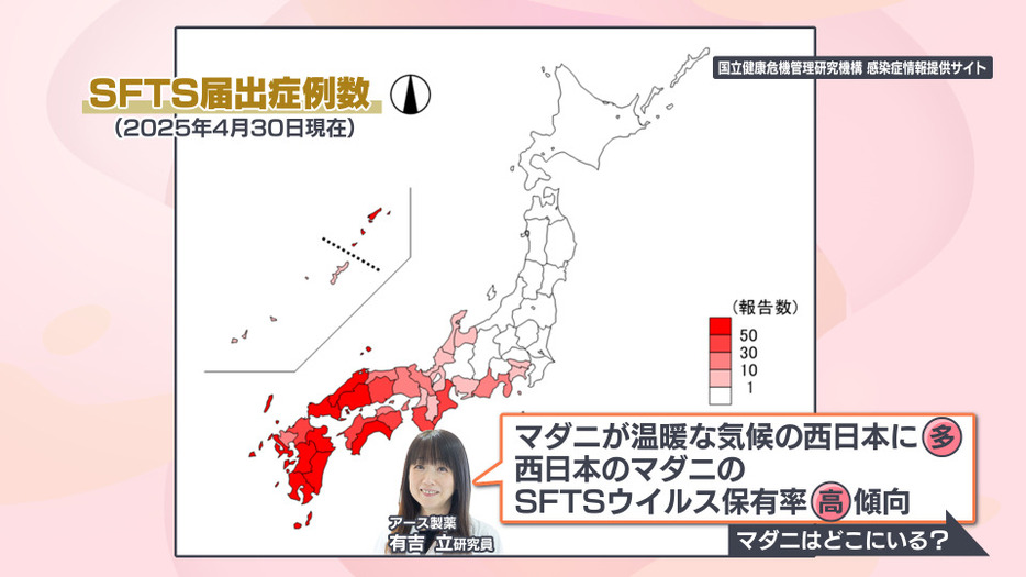 “致死率10～30％” マダニ感染症「SFTS」どう防ぐ？ ペットから、ヒトから感染するリスクも 刺されたら「自分でとらずに皮膚科へ」 アース製薬研究員が解説 (ABCニュース ...