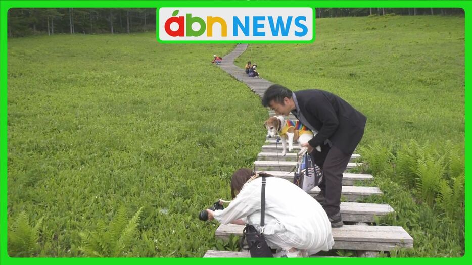 〝花の宝庫〟圧巻の120万本スズラン「香りもすごく良かった」【長野・富士見町】 (abn長野朝日放送) - Yahoo!ニュース