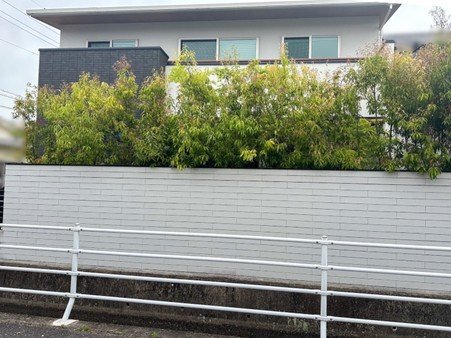 家づくり、やって正解だった「外から見えづらい」工夫3選。安心感以外にもメリットが (ESSE-online) - Yahoo!ニュース