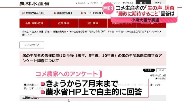 小泉農水相がコメ農家にアンケート 生産者の率直な意見は？ (日テレNEWS NNN) - Yahoo!ニュース