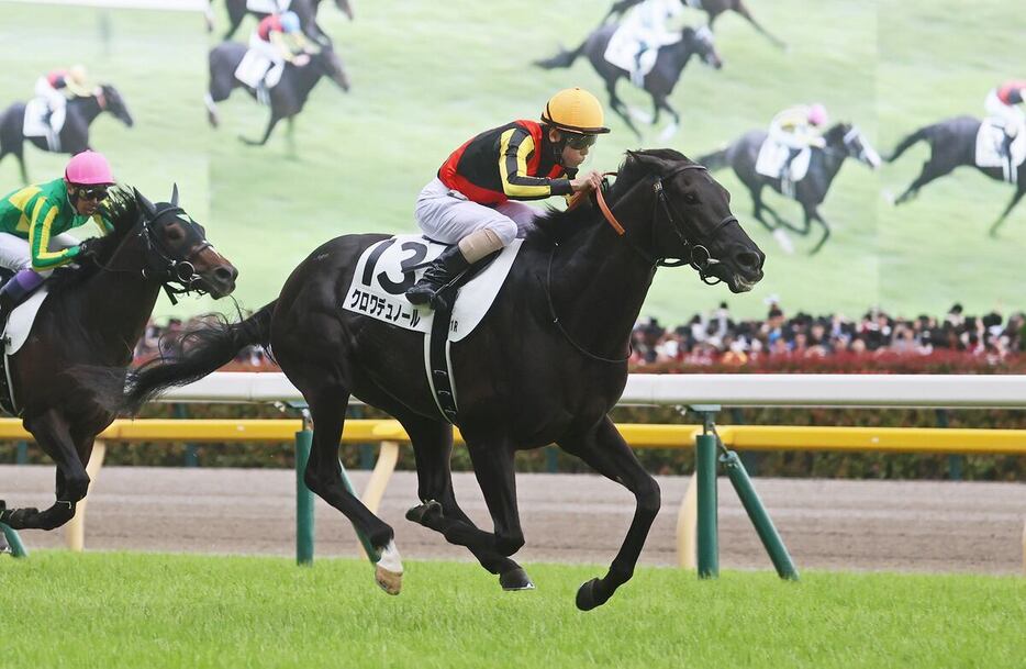 【ジャパンC】クロワデュノール、マスカレードボール、ダノンデサイルなど登録 世界ランク1位カランダガンも参戦 (サンケイスポーツ) - Yahoo!ニュース