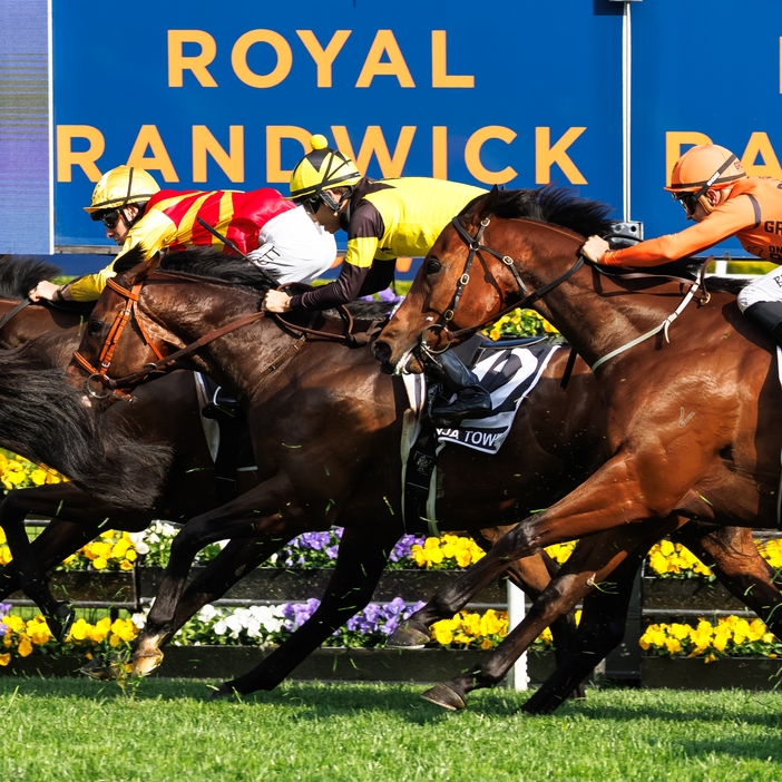 ゴールデンイーグルに挑んだパンジャタワーは5着 ラッセルボールディングS参戦のシュトラウスは6着 (SPAIA AI競馬) - Yahoo!ニュース