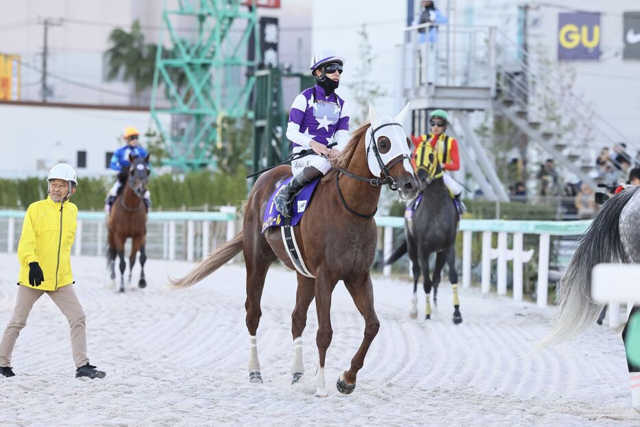 【JBCスプリント】松山「3着に踏ん張ってくれた」レース後ジョッキーコメント (競馬のおはなし) - Yahoo!ニュース
