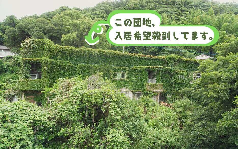 【築74年・家賃1万円の団地】占い師・探偵・ブックカフェ店主…大家負担でDIYし放題、部屋も住人もクセが強すぎる！ 福岡「門司港1950団地」渋沢プロジェクト (SUUMOジャーナル ...