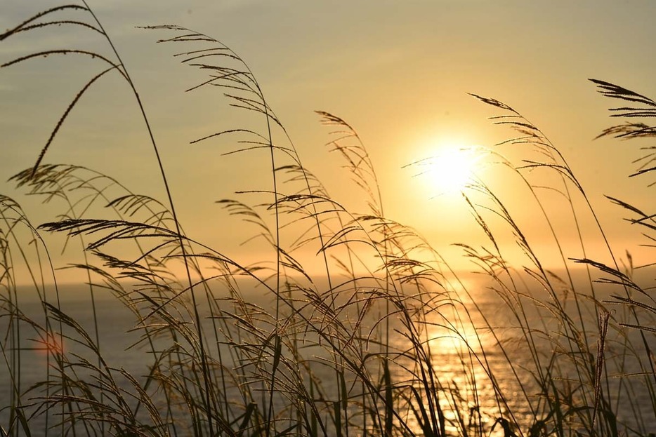 自動車CMの聖地――「信号ゼロの絶景ロード」10kmをご存じか (Merkmal) - Yahoo!ニュース