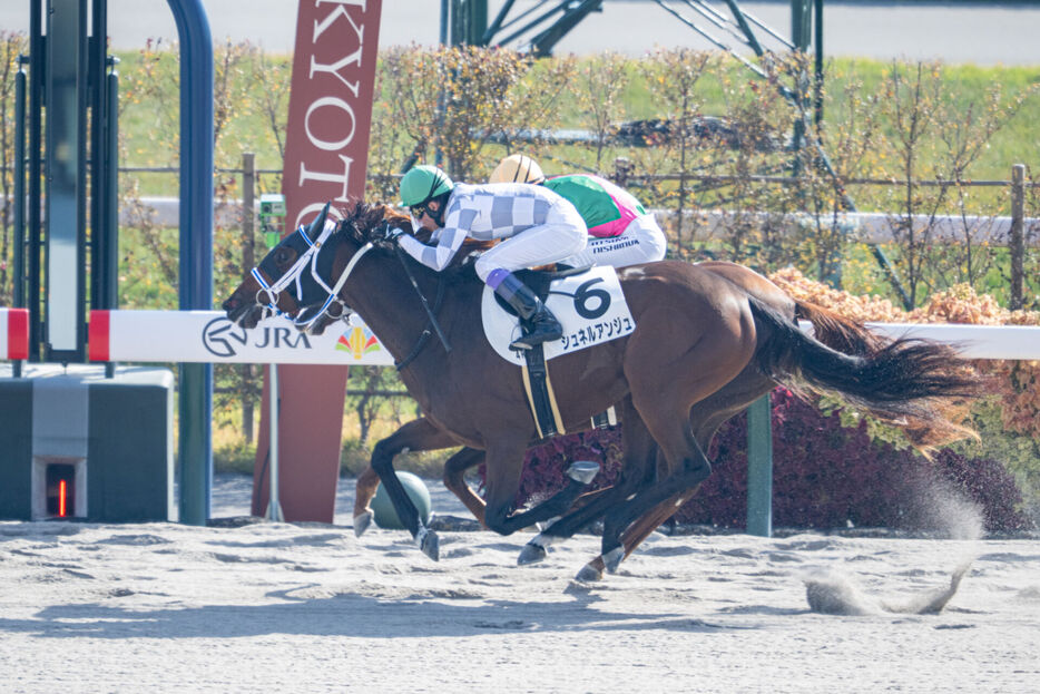 【新馬/京都4R】武豊「素直な馬」シュネルアンジュがデビューV (競馬のおはなし) - Yahoo!ニュース