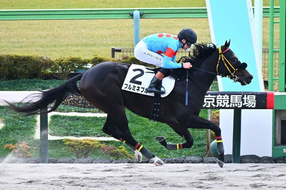 1番人気の米国産馬フルミネブルが快勝 プーシャン「距離は延びても大丈夫」【2歳新馬・東京4R】 (東スポ競馬) - Yahoo!ニュース