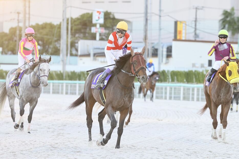 【JBCスプリント】武豊「またすぐチャンスがある」チカッパは4着 (競馬のおはなし) - Yahoo!ニュース