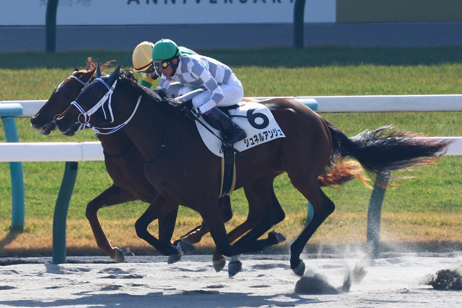武豊騎乗のシュネルアンジュがアタマ差でV「すごく素直な馬。まだ良くなる」【2歳新馬・京都4R】 (東スポ競馬) - Yahoo!ニュース