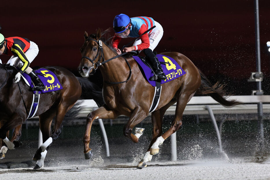 【JBC2歳優駿】田口「馬を信じて一生懸命追った」タマモフリージアがデビュー2連勝 (競馬のおはなし) - Yahoo!ニュース