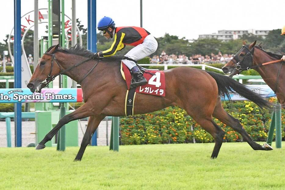 【エリザベス女王杯】京都未勝利のレガレイラが血統面でも1強ムード？＝坂上明大の重賞血統査定 (東スポ競馬) - Yahoo!ニュース