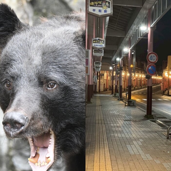 「スナックで飲んで扉を開けたらクマ！」秋田の夜の街で客が激減し“クマ大不況”に「コロナの時のように補助金ほしい」と店主の切実な声 (集英社オンライン) - Yahoo!ニュース