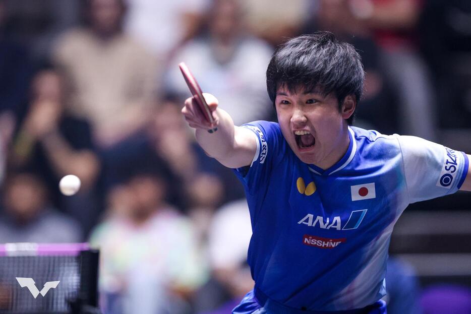 張本智和 16強でストップ。5連勝中の五輪メダリストに打ち負ける【卓球 WTTフランクフルト】 (テレ東スポーツ) - Yahoo!ニュース