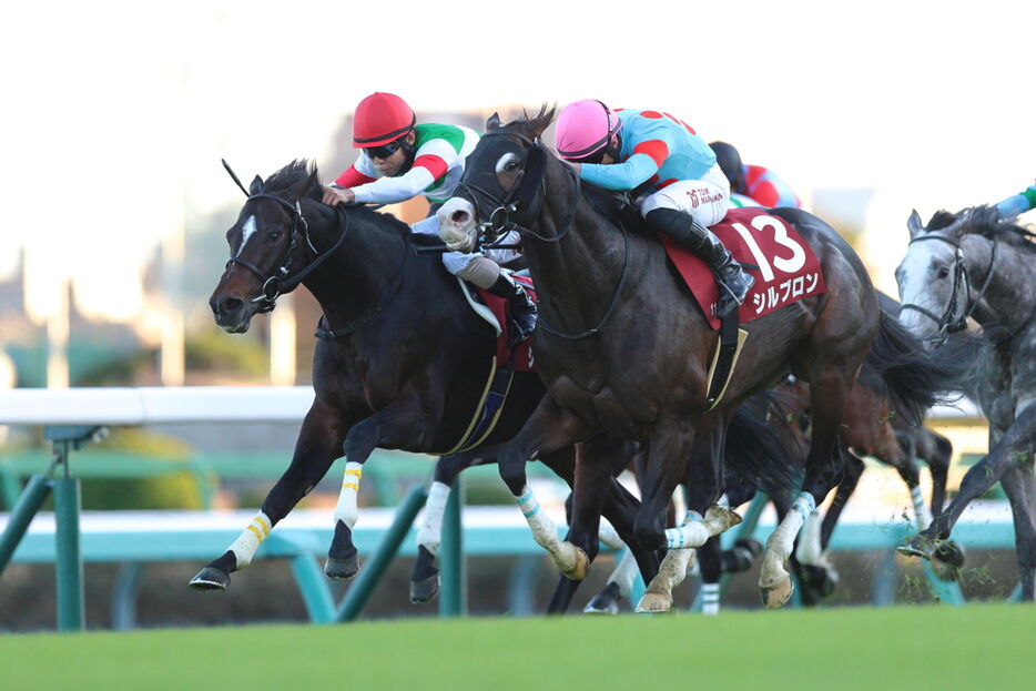 【豪メルボルンカップ】日本馬シュヴァリエローズ、豪州で状態上昇…最終調整は抜群の反応で視界良好 (競馬のおはなし) - Yahoo!ニュース