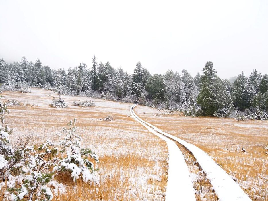 雪の降り始めた尾瀬へ｜まだ知らない尾瀬ストーリー#14 (FUNQ) - Yahoo!ニュース