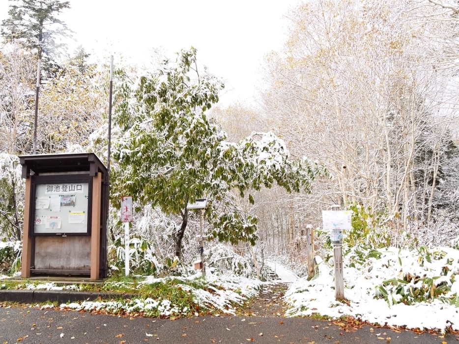 雪の降り始めた尾瀬へ｜まだ知らない尾瀬ストーリー#14 (FUNQ) - Yahoo!ニュース