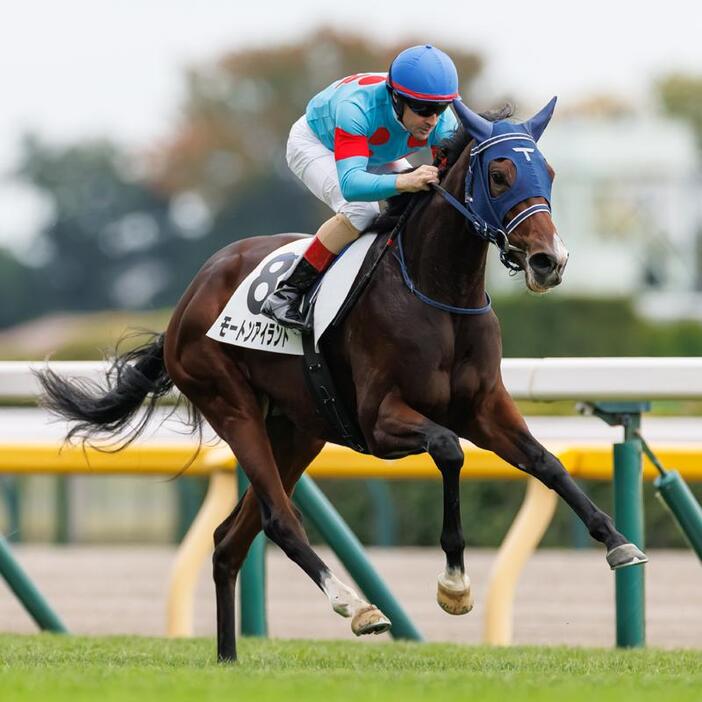 【注目2歳馬】直線モタつき後退もラスト150mで非凡な瞬発力を発揮 キズナ産駒アローメタル (SPAIA AI競馬) - Yahoo!ニュース