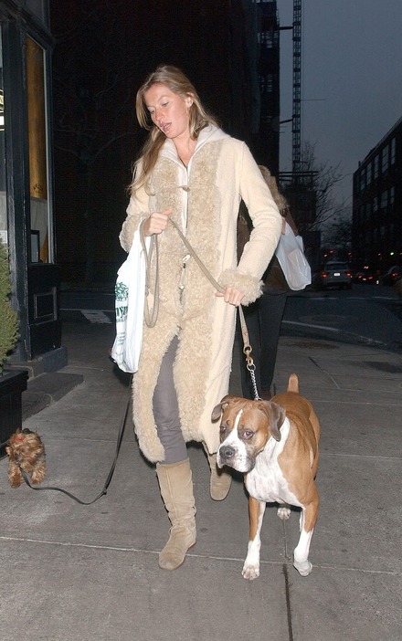 1頭あたり1500万円？ 愛するペットをクローンにする、海外セレブたちの実情 (ELLE DIGITAL) - Yahoo!ニュース