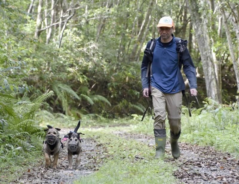 「救世主」が「害獣」に。奄美大島のマングース根絶から考える、人間の責任 (47NEWS) - Yahoo!ニュース