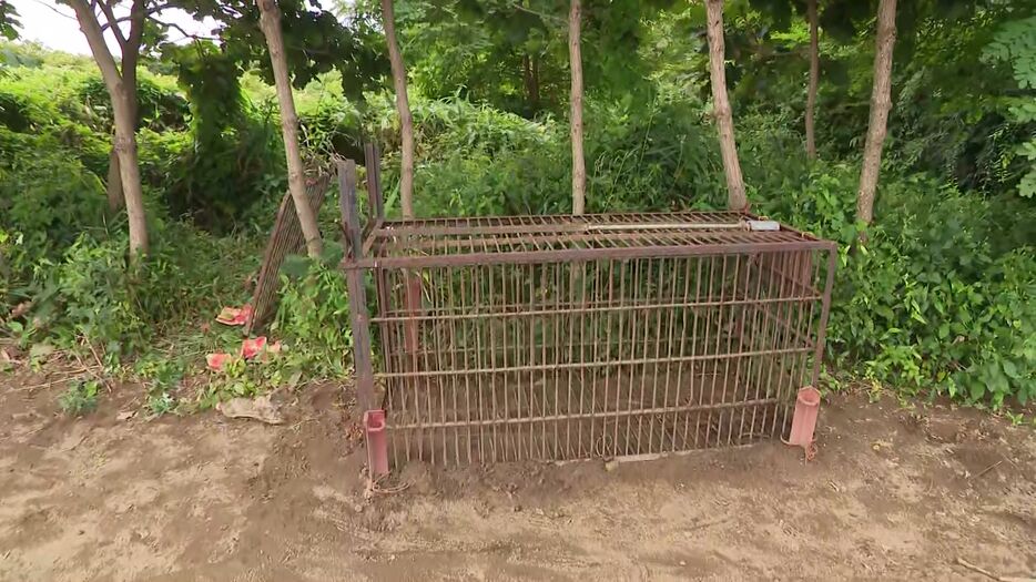 9月から“クマ駆除”のルールが変わる 市街地でも市町村の判断で発砲が可能に…ハンターからは“責任の所在”に不安の声 北海道猟友会は「発砲拒否も可」という通知を各支部に送付 (北海道ニュース ...