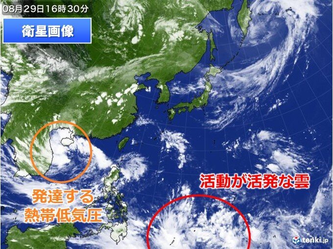 明日30日にも新たな台風発生 日本に影響なし 来週後半は別の熱帯じょう乱が北上か (tenki.jp) - Yahoo!ニュース
