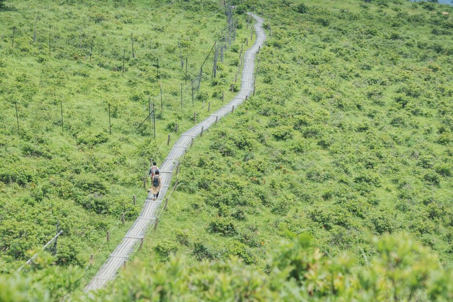 暑い夏に涼しさを求めて歩きたい！手軽な日帰りハイク旅｜ランドネ100楽山（甘利山・山梨県） (FUNQ) - Yahoo!ニュース