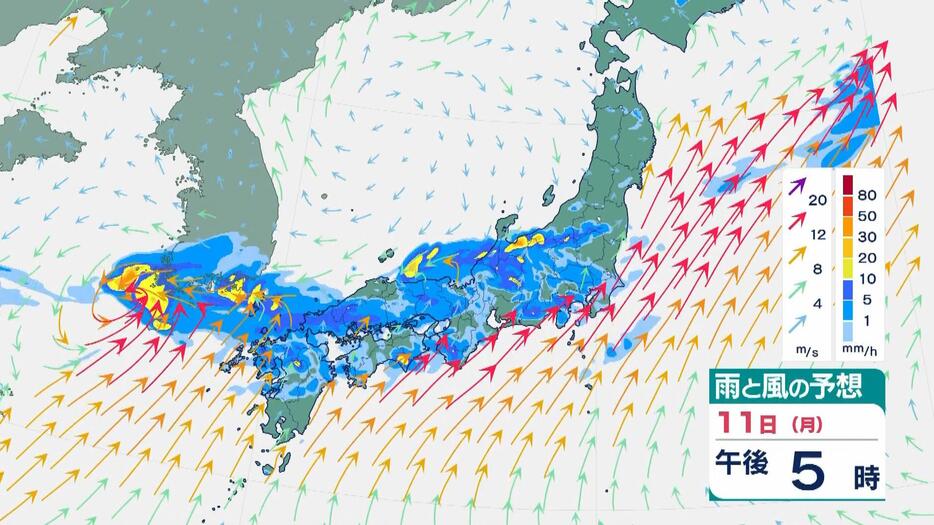 【大雨情報】11日（月・祝）三連休最終日も大雨 大阪府などで大雨警報も 今後の見通しは？ (MBSニュース) - Yahoo!ニュース