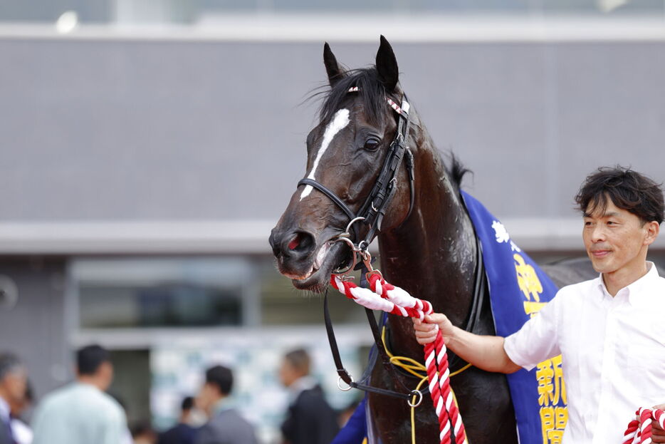 WIN5は1万3487票的中…神戸新聞杯はエリキングが復活して (競馬のおはなし) - Yahoo!ニュース