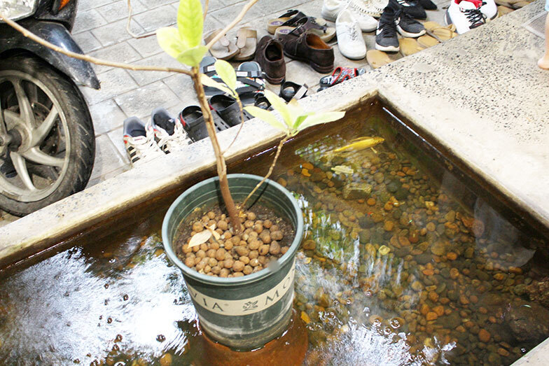 【ベトナムの家】年中30℃超でも"エアコンいらず"。風を取り込み気持ちよく過ごす「暮らしの知恵」を現地の建築家に聞いた (SUUMOジャーナル) - Yahoo!ニュース