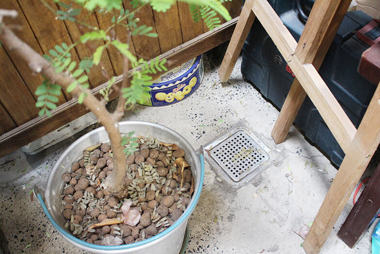 【ベトナムの家】年中30℃超でも"エアコンいらず"。風を取り込み気持ちよく過ごす「暮らしの知恵」を現地の建築家に聞いた (SUUMOジャーナル) - Yahoo!ニュース