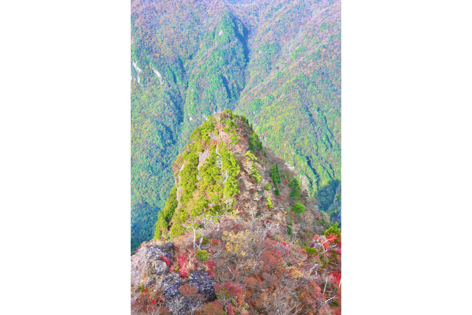 【100楽山／大台ヶ原】色鮮やかな秋の景色を探して。私の好きな秋の山歩き (FUNQ) - Yahoo!ニュース