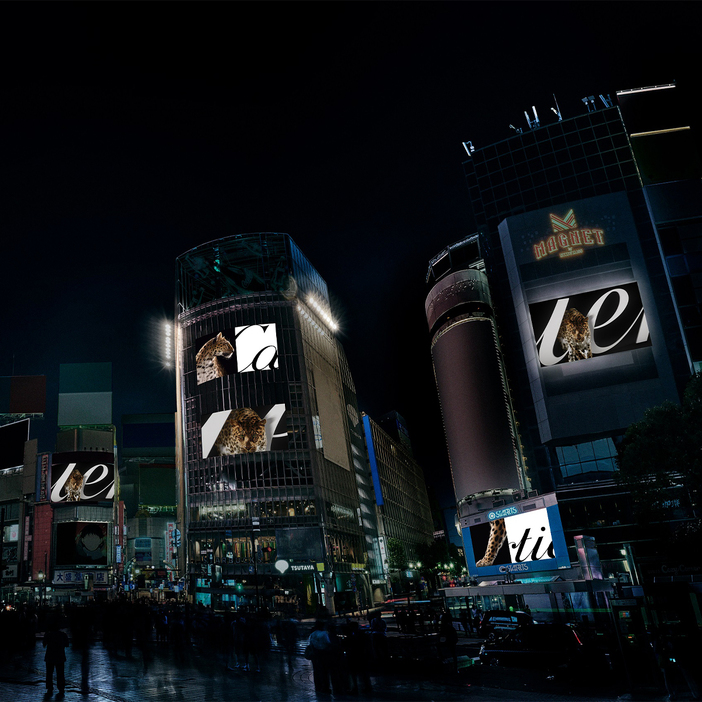 「カルティエ」が“パンテール”と共に渋谷スクランブル交差点をジャック 世界各地でキャンペーンを発表 (WWDJAPAN.com) - Yahoo!ニュース