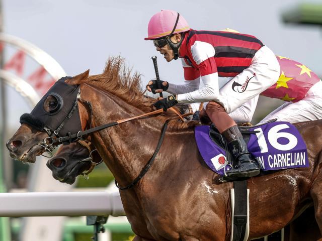 【スプリンターズS】11番人気の8歳馬ウインカーネリアンがV！ 三浦皇成騎手は悲願のJRA・GI初制覇！ (netkeiba) - Yahoo!ニュース