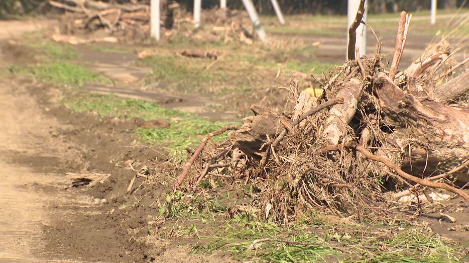 北海道初の“線状降水帯”被害が長引く「子牛がぬれて風邪を」橋が崩れ復旧の見通し立たず…もし札幌で発生し豊平川が決壊したら…ススキノや札幌駅前も冠水 地下歩行空間が浸水 対策グッズは (北海道 ...