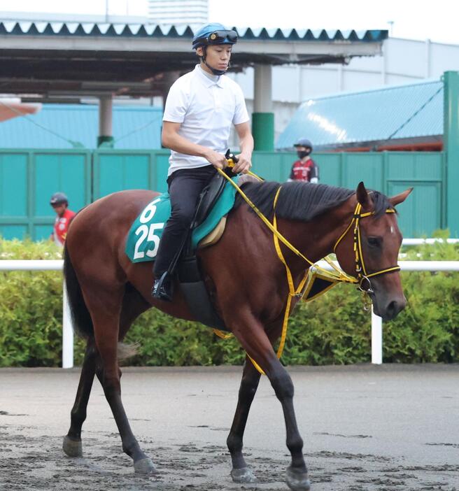 異例の事態発生 札幌5R新馬戦で馬の取り違えにより競走除外に JRA「何らかの原因で2頭が入れ違いになったのでは」 (デイリースポーツ) - Yahoo!ニュース