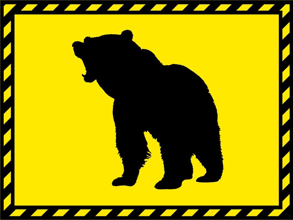 クマ被害、不明女性を捜索 宮城の山中、発生3日目 (共同通信) - Yahoo!ニュース