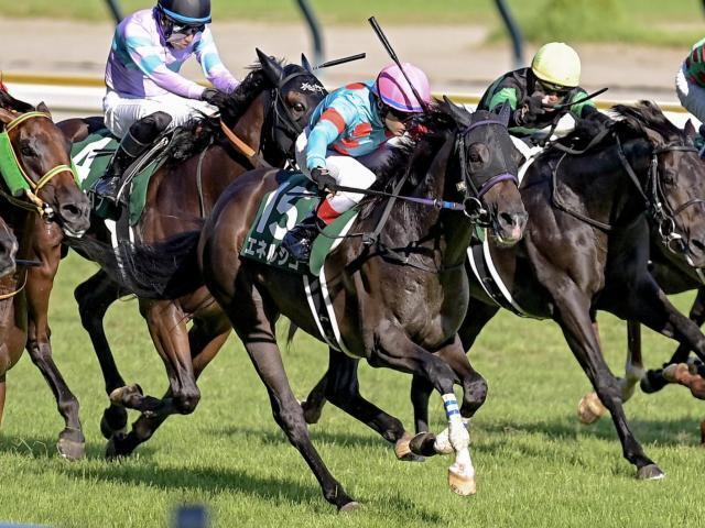 【菊花賞・馬体重】エネルジコは456kg(-12)、エリキングは508kg(-2) (netkeiba) - Yahoo!ニュース