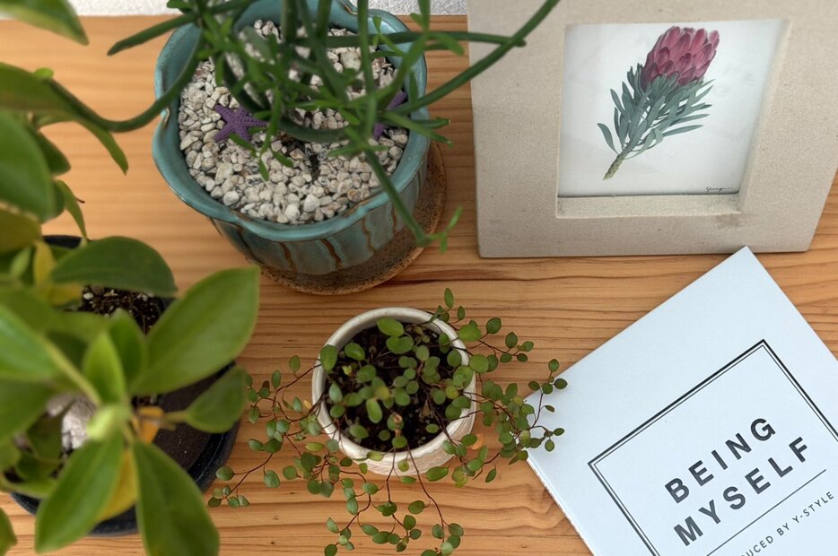 毎月赤字だった元・浪費家主婦、3年で資産1000万円に！「無理なく節約できた」マイルール5つ (ESSE-online) - Yahoo!ニュース