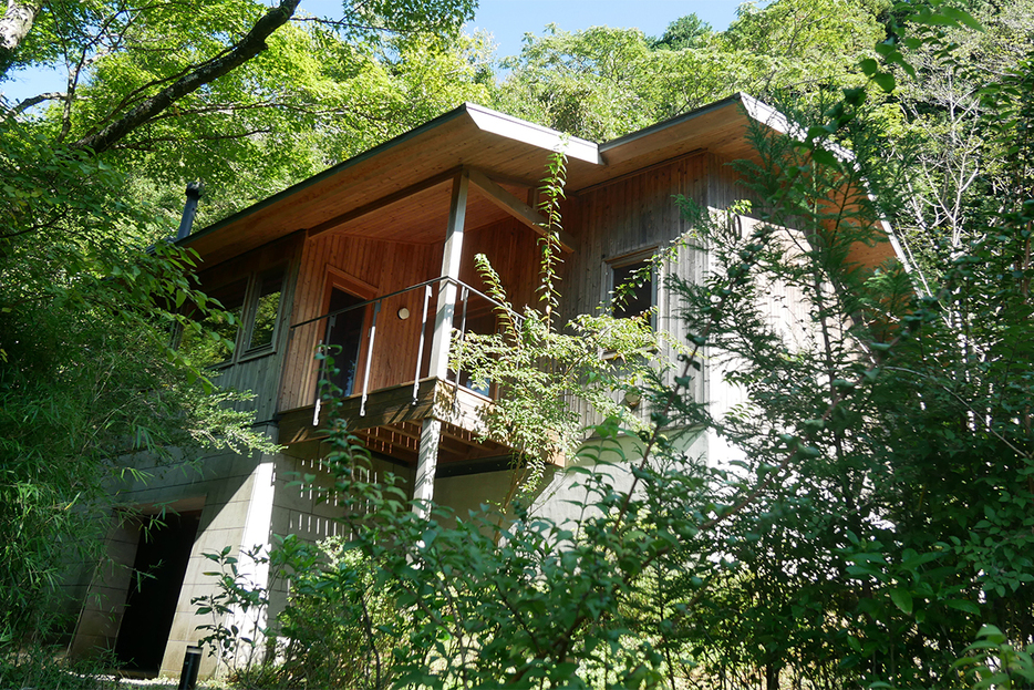 森に包まれた隠れ家で心身ともに癒される。「箱根リトリート före & villa 1/f」で贅沢な滞在を (家庭画報.com) - Yahoo!ニュース