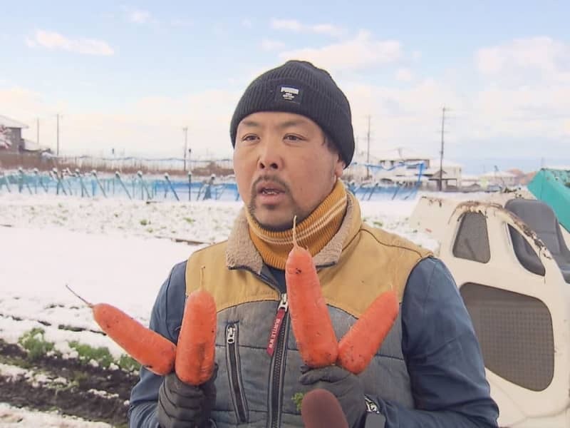 甘みたっぷり「各務原にんじん」 冬の収穫最盛期 岐阜県 (ぎふチャンDIGITAL) - Yahoo!ニュース