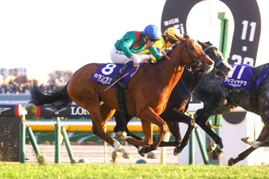 【ジャパンカップ】グラファール師「負けたかと思いましたが…」外国馬20年ぶりの偉業…カランダガンが世界最高タイムで制覇 (競馬のおはなし) - Yahoo!ニュース
