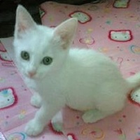 【佐賀市】SAGA2024が10/5（土）より開幕！ おもてなし広場や競技体験会、生観戦を楽しもう（hiro） - エキスパート - Yahoo!ニュース